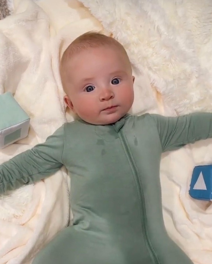 Zealand labrant picture