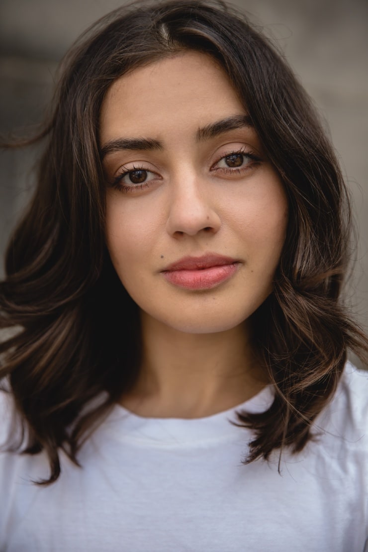 Picture of Tirol Palmer