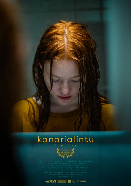 Picture of Kanarialintu