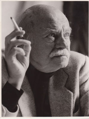 Picture of Milivoje Tomic