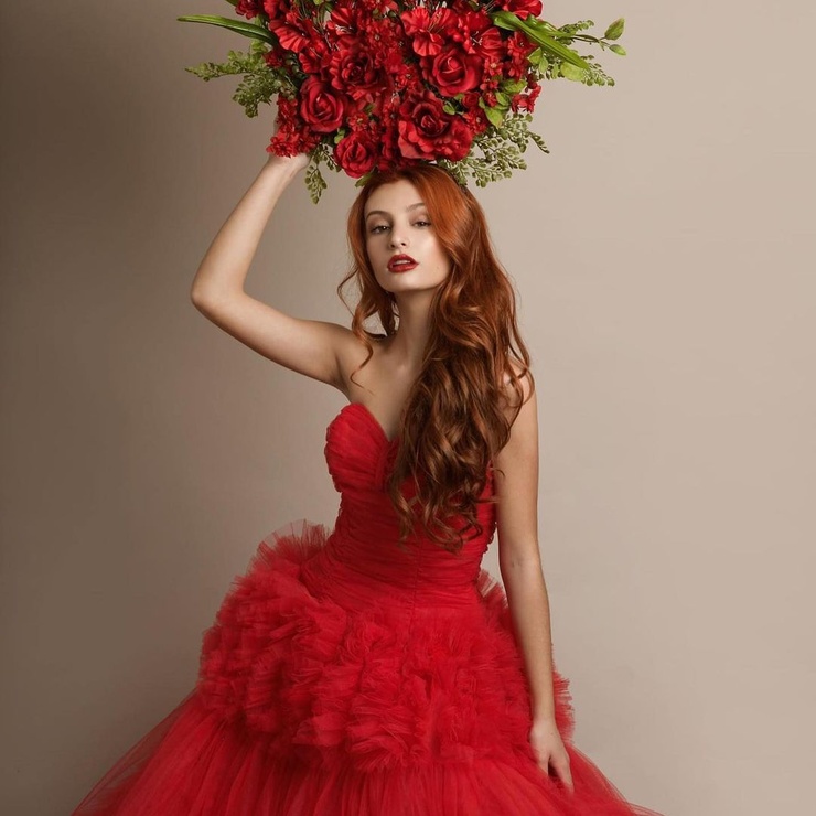 Picture of Haven Housh