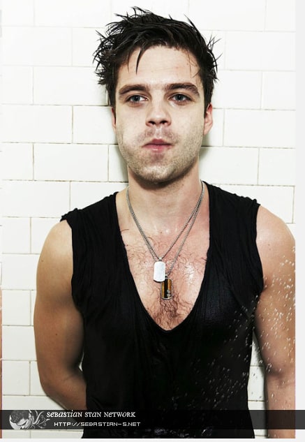 Picture of Sebastian Stan