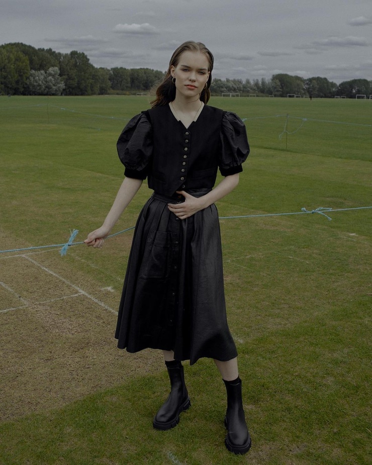 Picture of Delphi Primrose