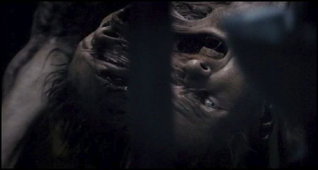 Picture of The Thing