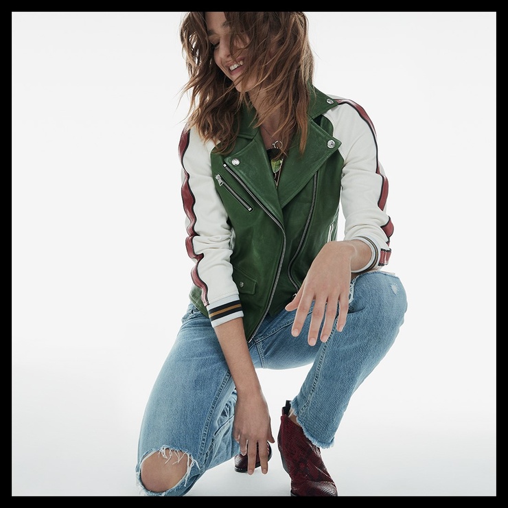 Picture of Lisa Louis