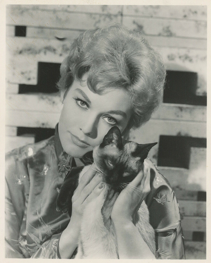 Kim Novak