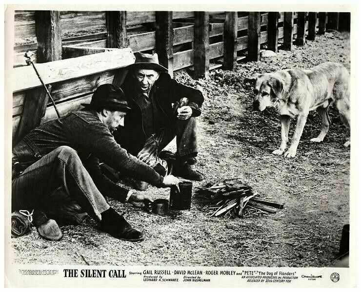 The Silent Call image