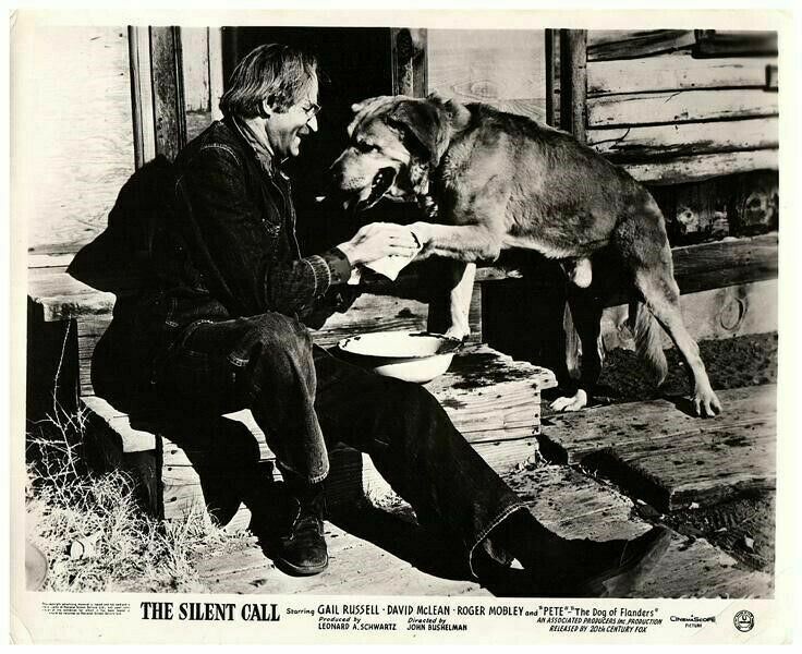 Image of The Silent Call