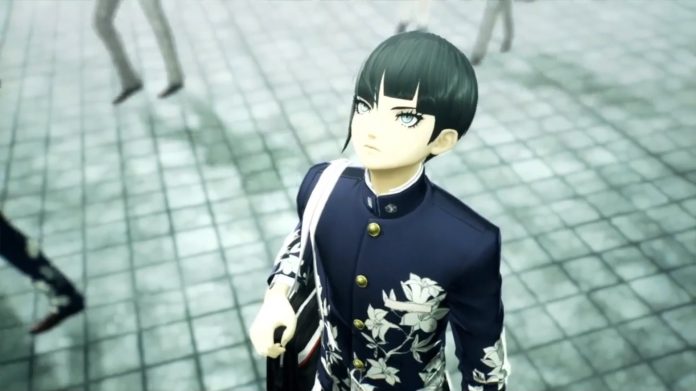Picture of Protagonist (Shin Megami Tensei V)