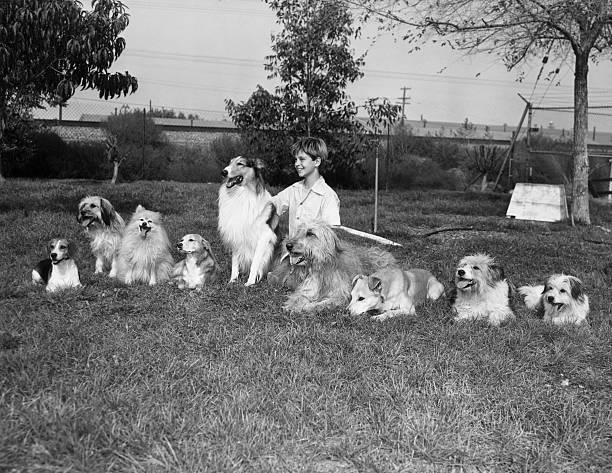 Lassie, Tommy Rettig