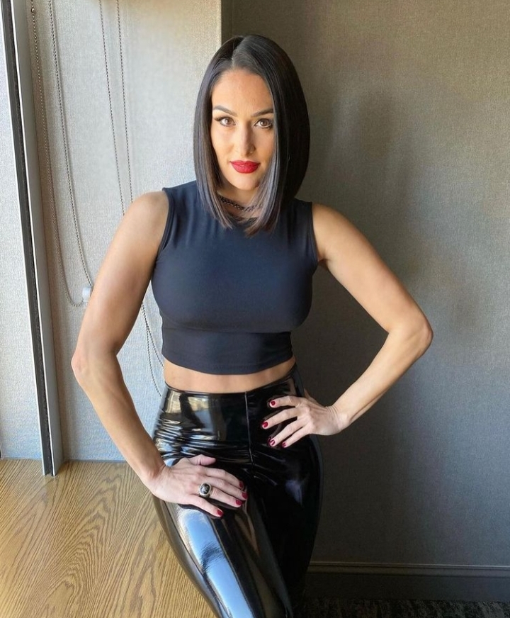 Picture of Nikki Bella