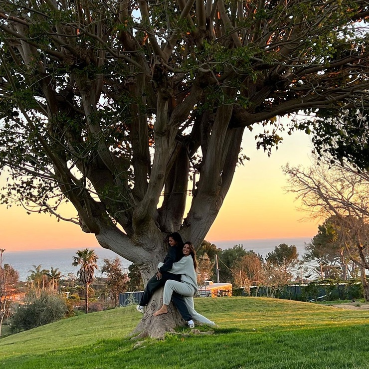 Picture of Mackenzie Rose