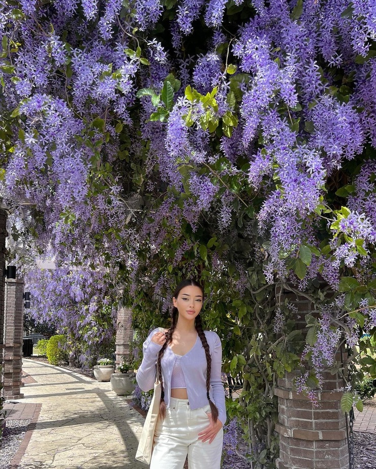 Picture of Isabel Rose