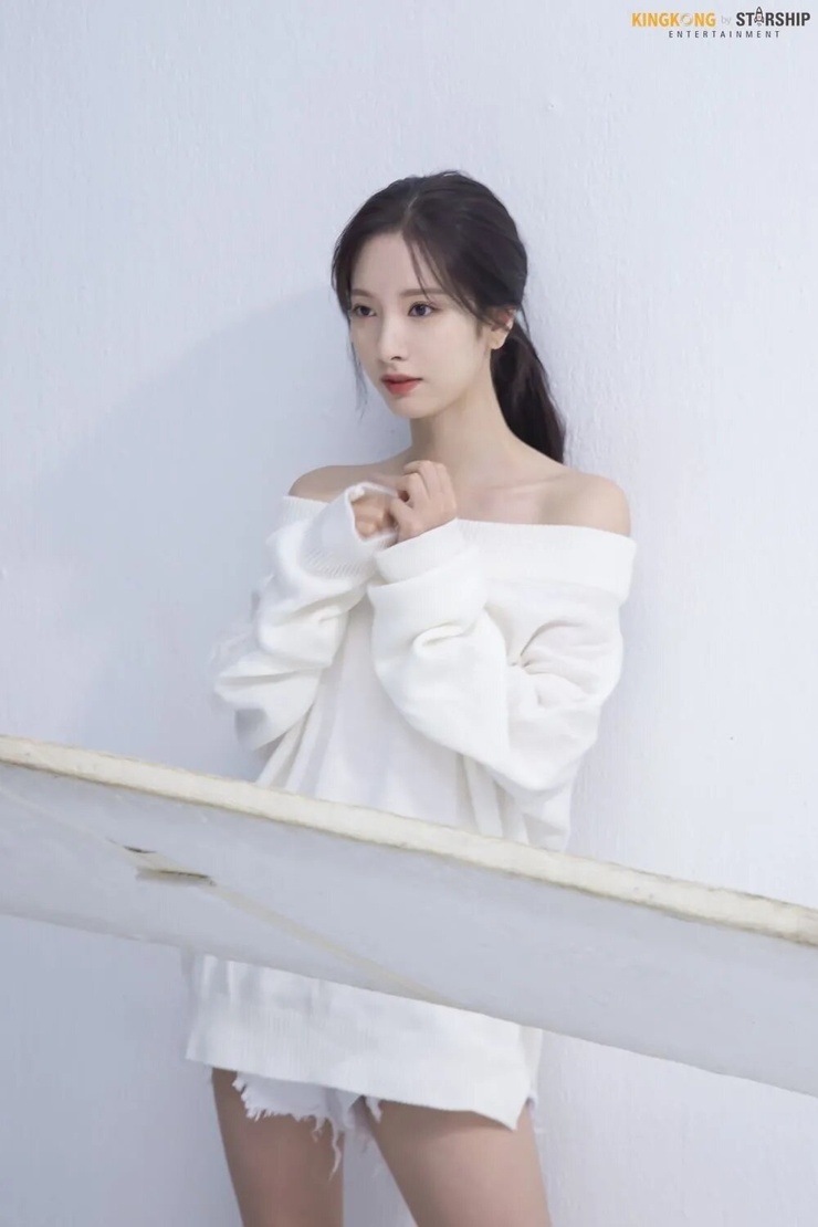 Picture of Bona