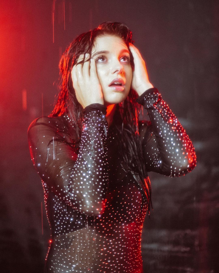 Image of Autumn Noel