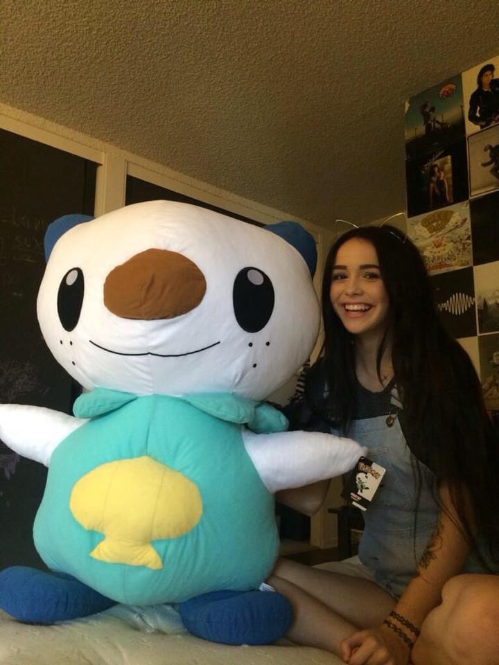 Picture of Acacia clark