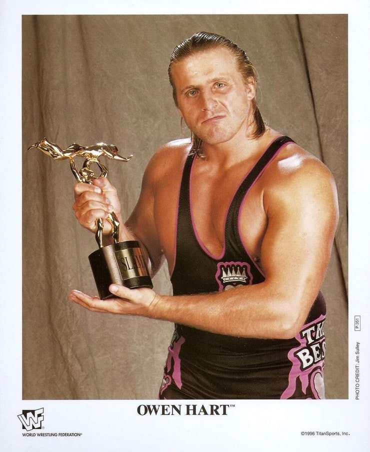 Picture of Owen Hart