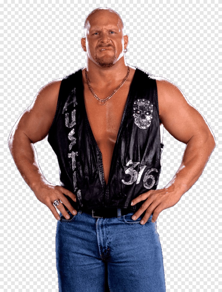 Picture of Steve Austin