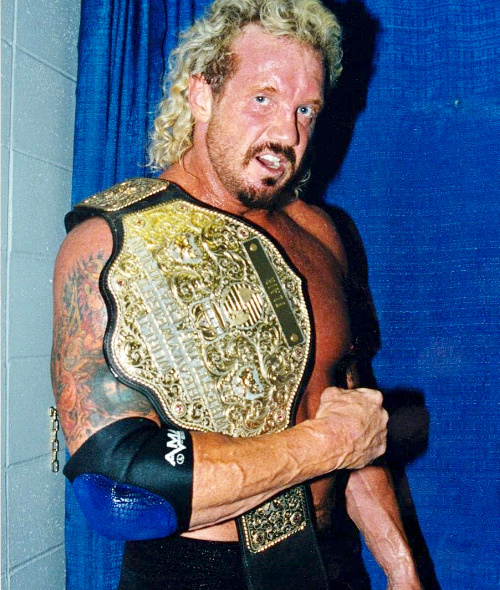 Diamond Dallas Page picture