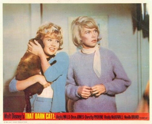 Picture of That Darn Cat!