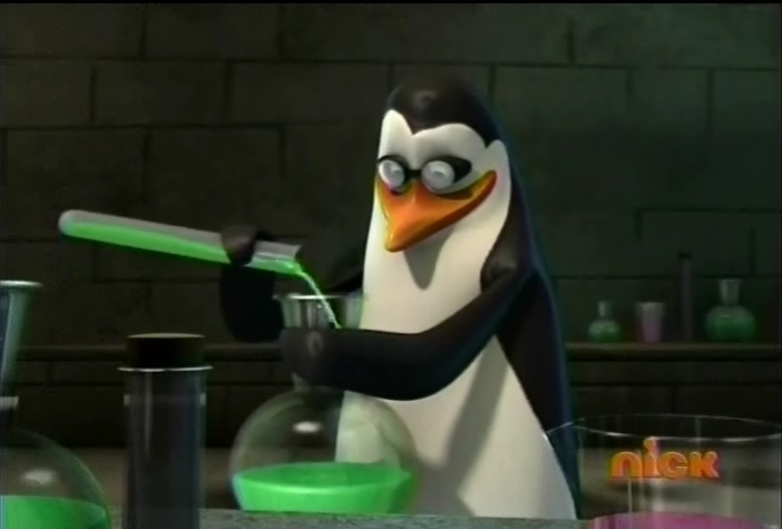 Picture of Kowalski - Madagascar