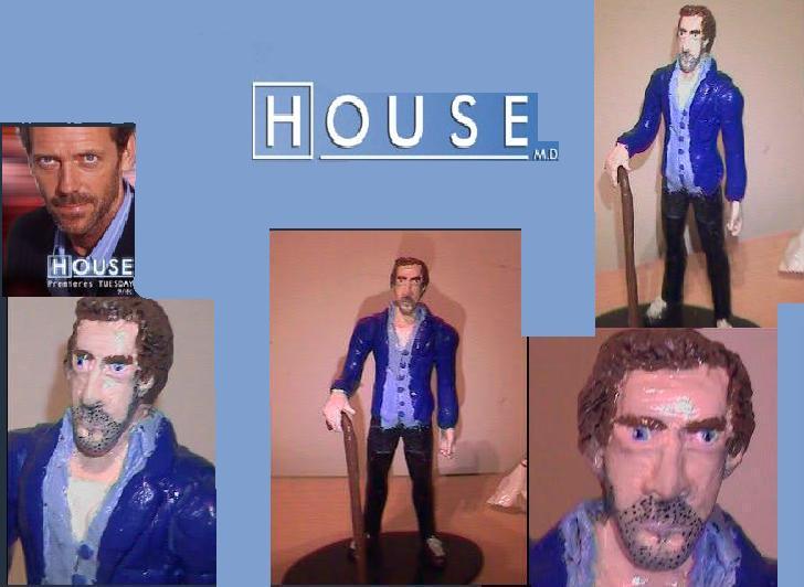 custom made House (lol)