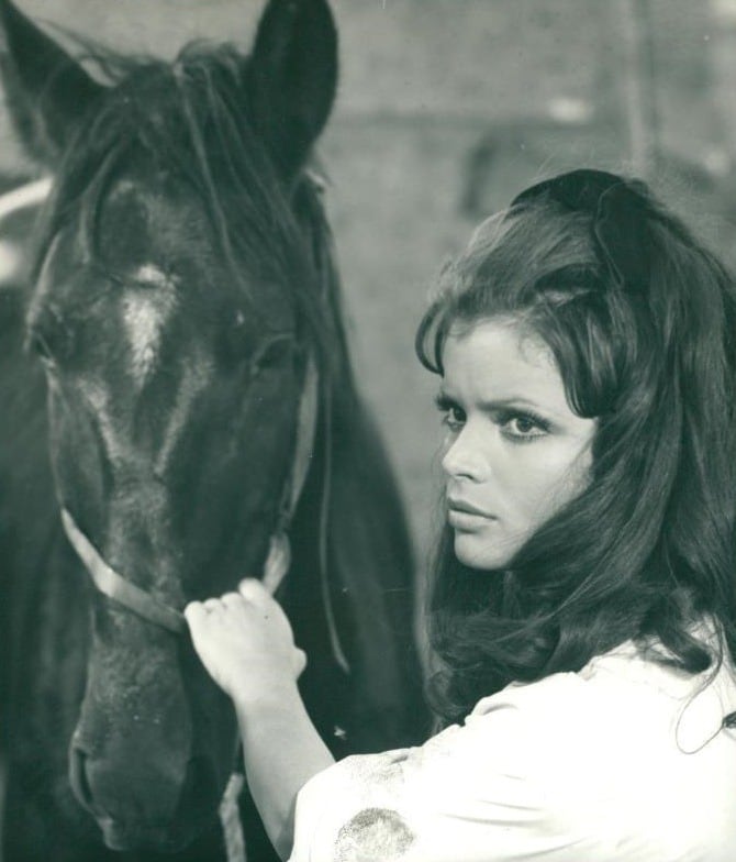 Picture of Black Beauty