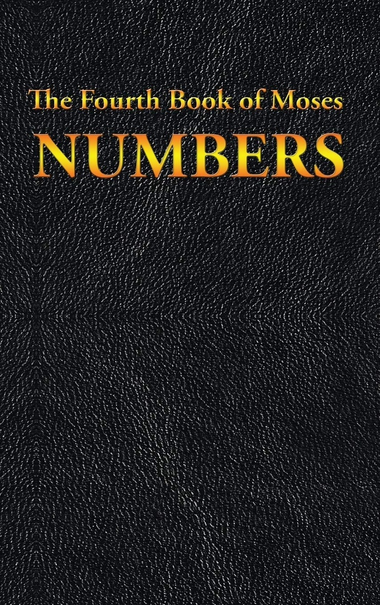 Picture of Book of Numbers