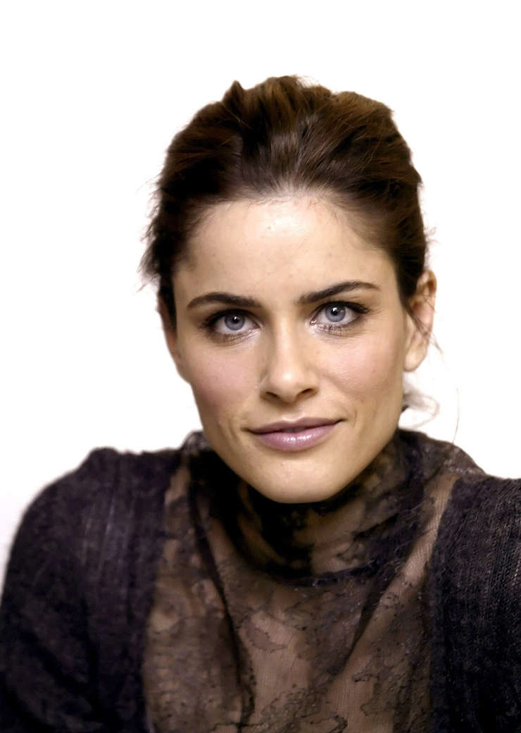 Amanda Peet picture