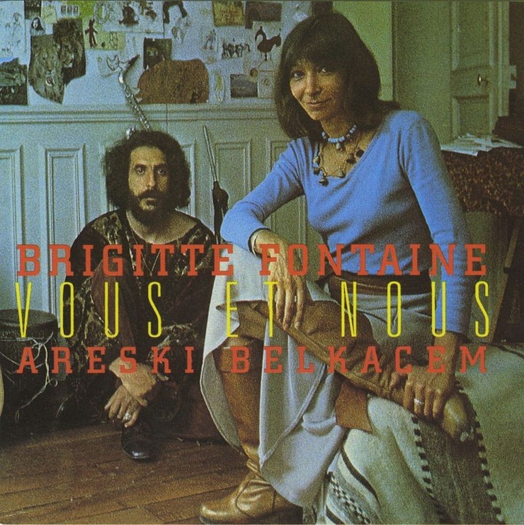 Brigitte Fontaine image