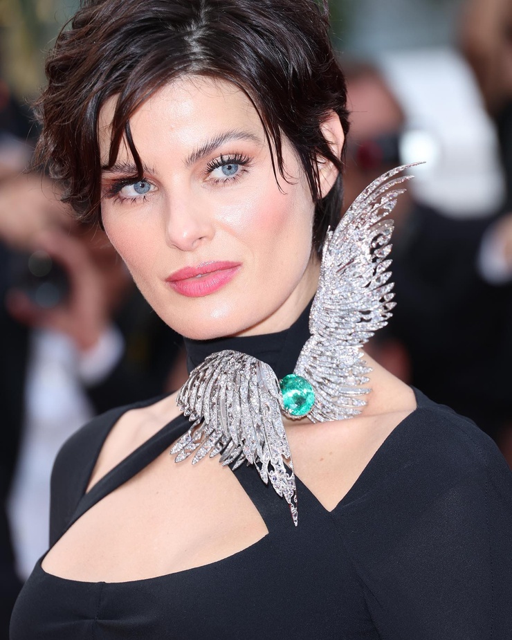 Isabeli Fontana image