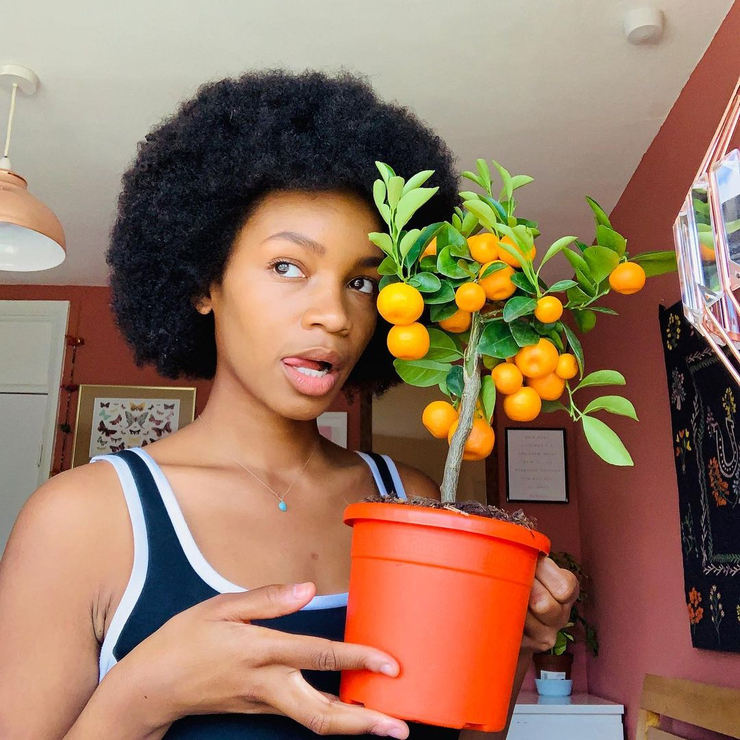 Bethany Antonia image