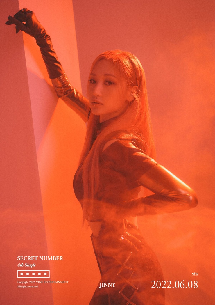 Image of SECRET NUMBER