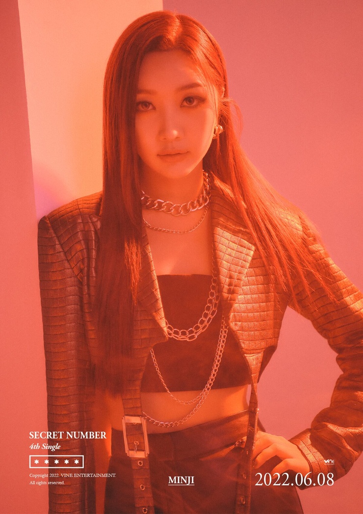 Picture of SECRET NUMBER