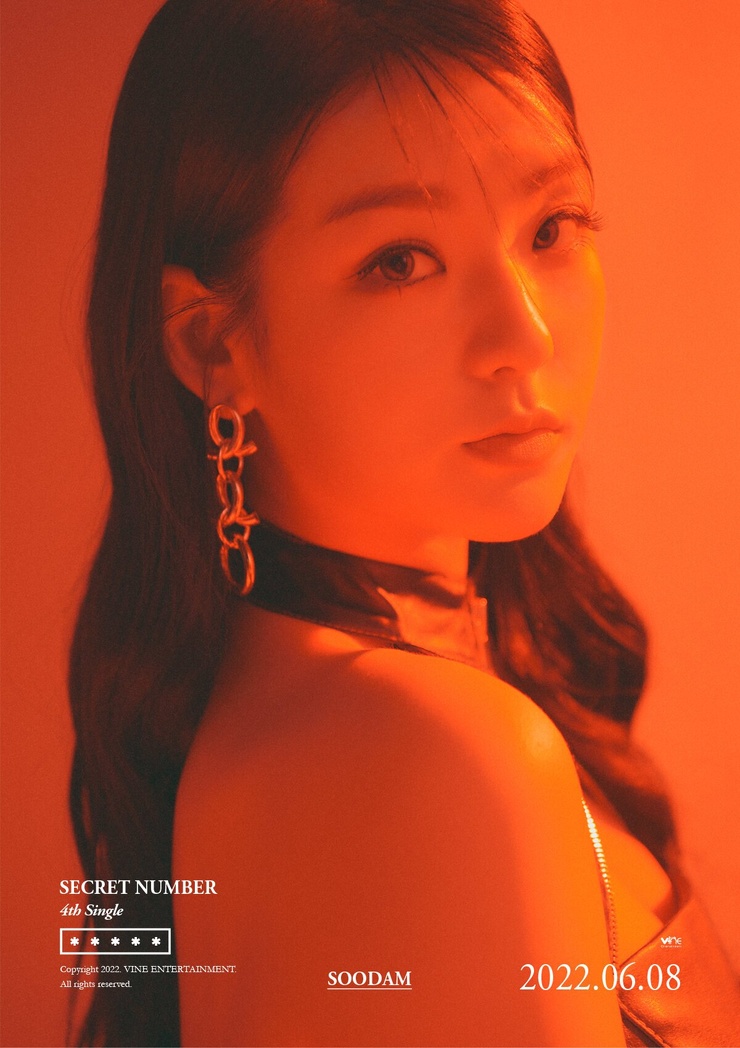 Picture of SECRET NUMBER