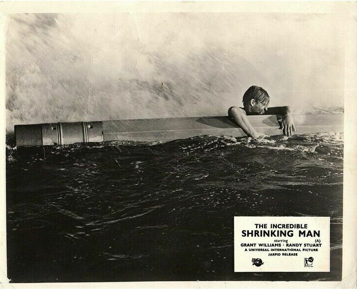 Picture of The Incredible Shrinking Man