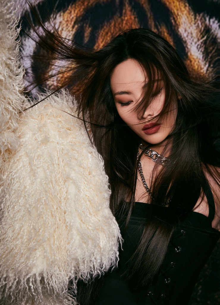 Picture of Wang Fei Fei