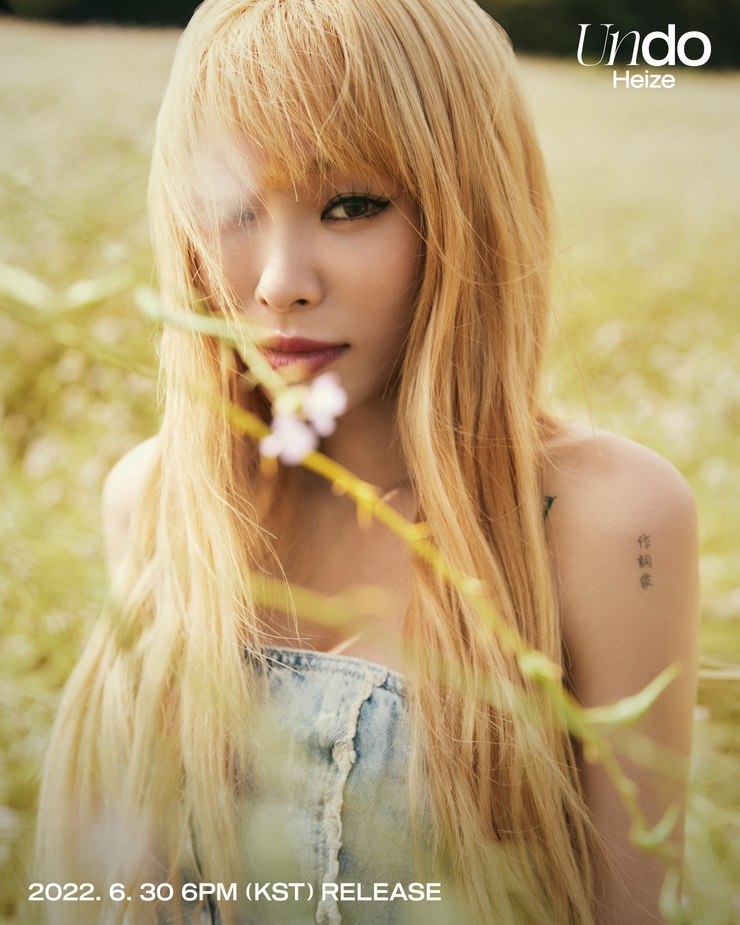 Heize picture