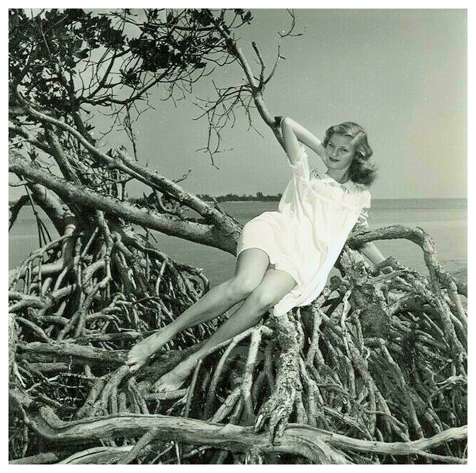Alta Whipple
