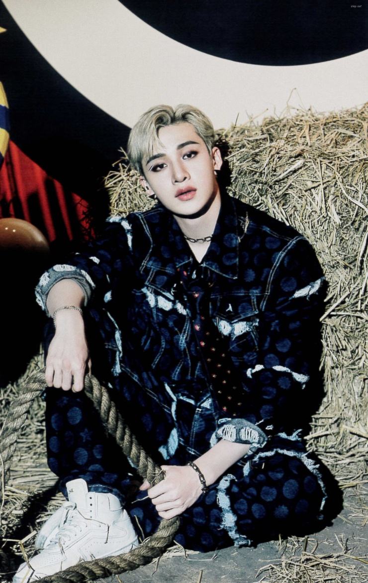 Bang Chan picture