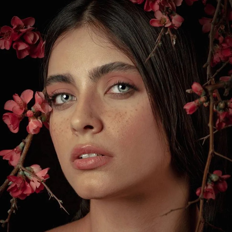 shaghayegh Kamarei image