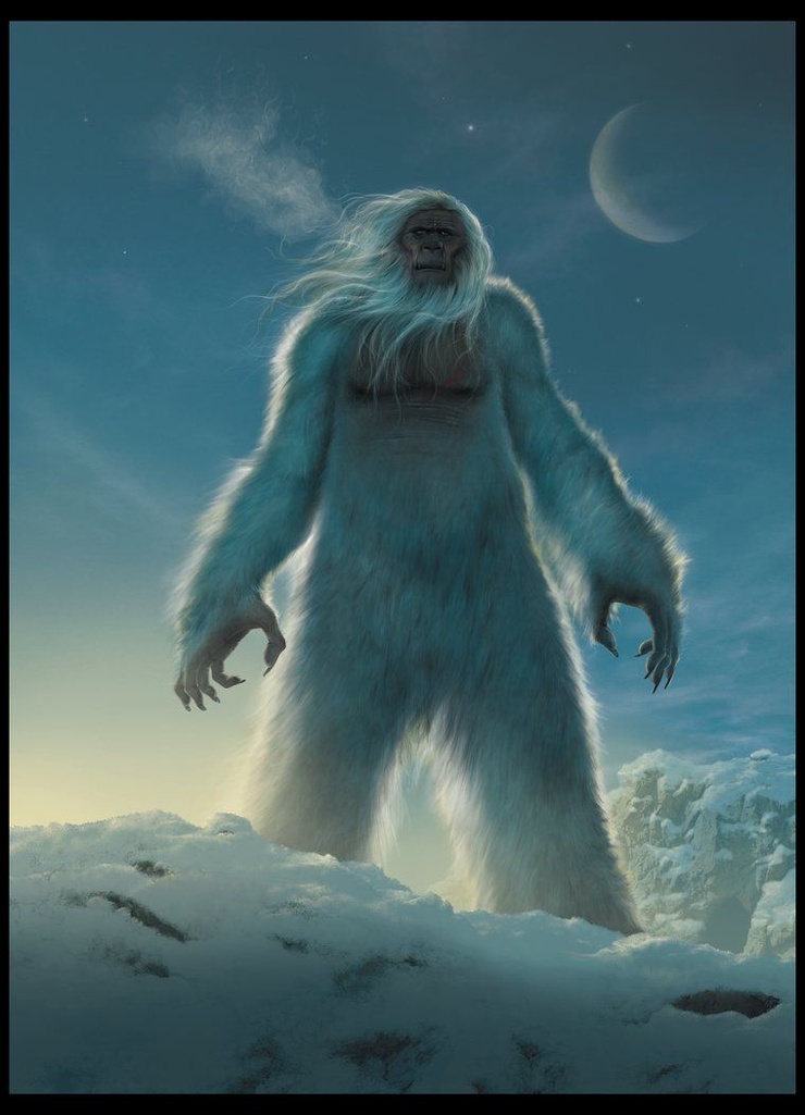 Picture of Yeti
