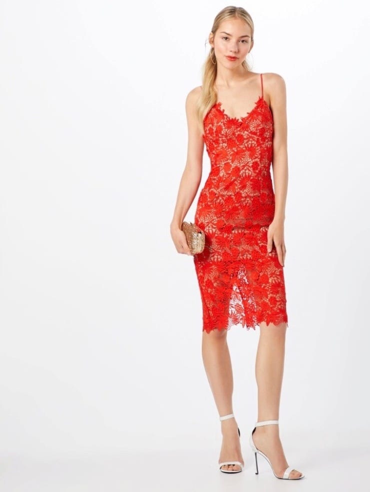 Picture of Sarah Werner