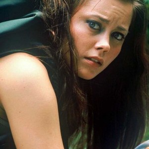 Picture of Renee Talbert