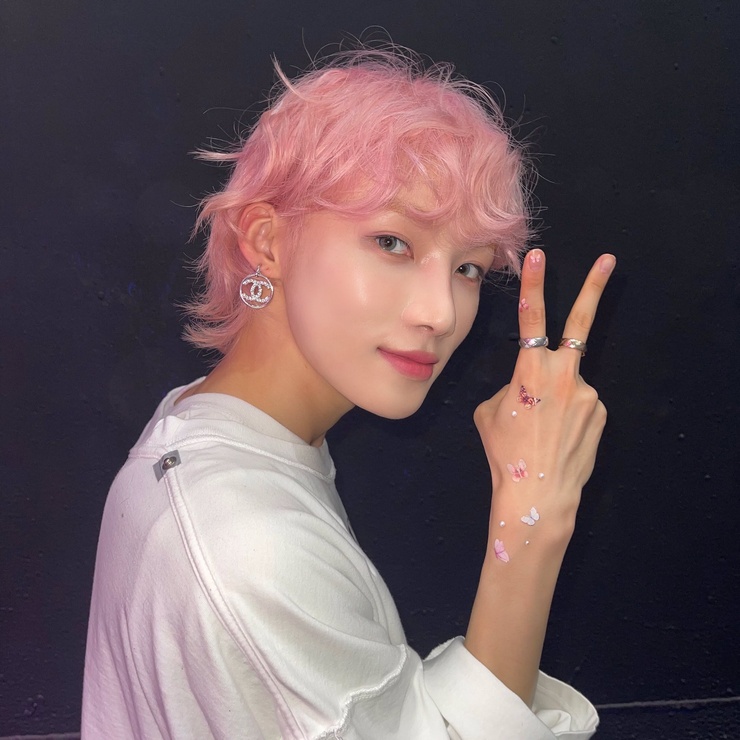 Picture of Choi Chan Hee