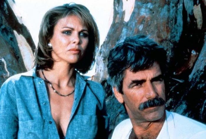 Picture of The Blue Lightning