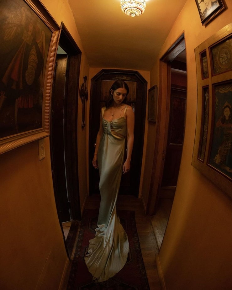 Picture of Alison Brie