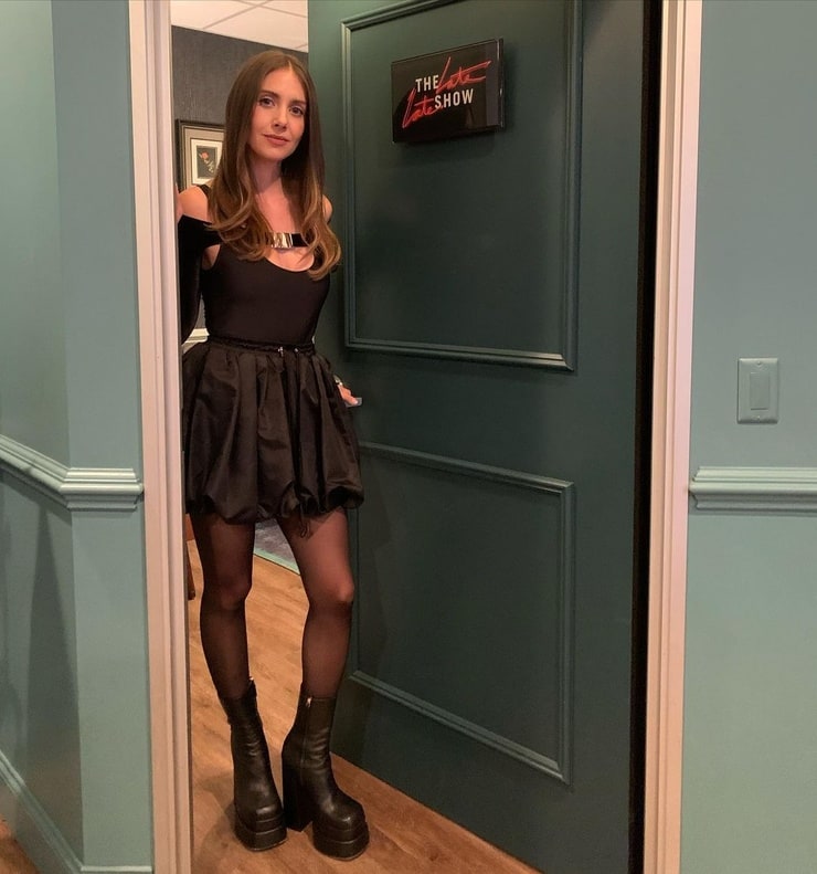 Picture of Alison Brie