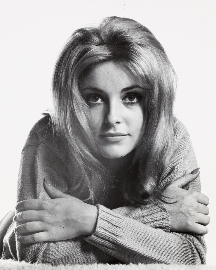 Picture of Sharon Tate