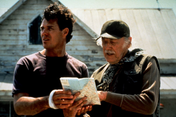 Picture of The Birds II: Land's End